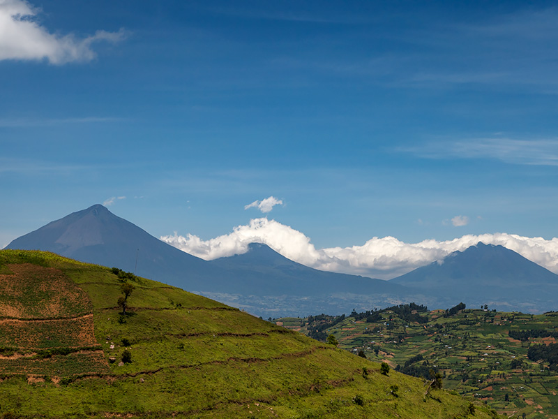 Introduction 1. View on Mgahinga Gorilla National Park with from left ...